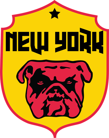 puscasu-daniel - Individual - World Elite Soccer - WES